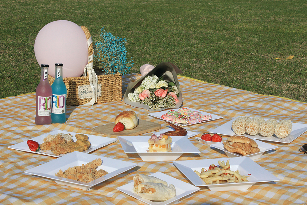 Have a picnic in spring – Aipindt